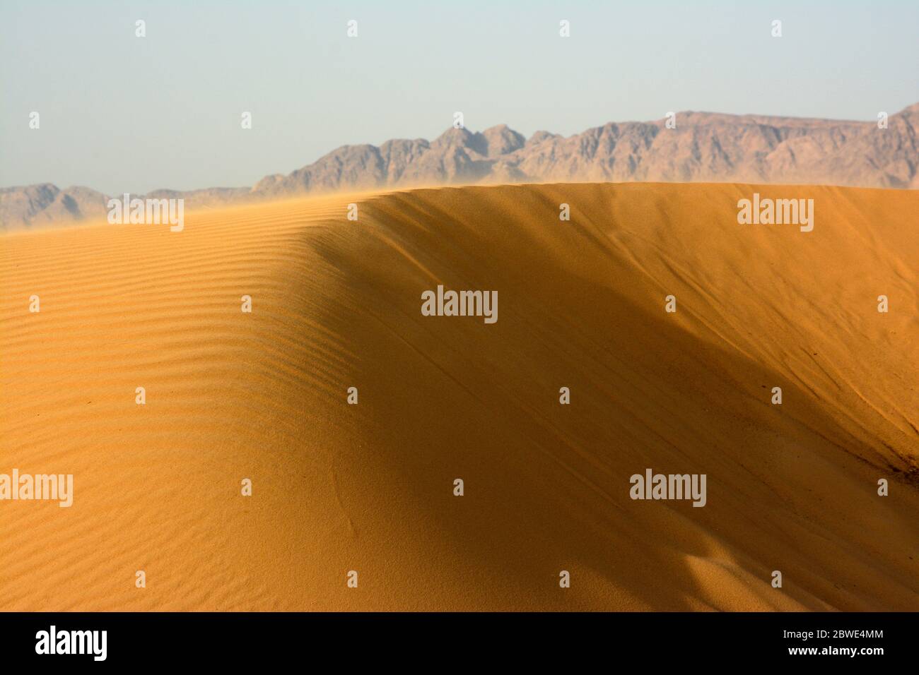 Sand dune in the south of Israel Stock Photo - Alamy