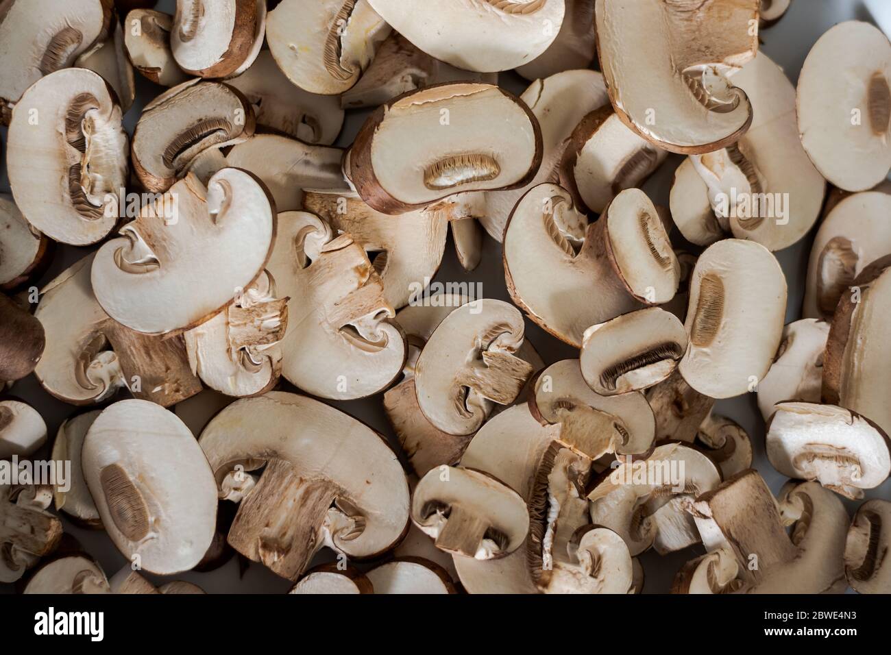 Plated funghi hi-res stock photography and images - Alamy