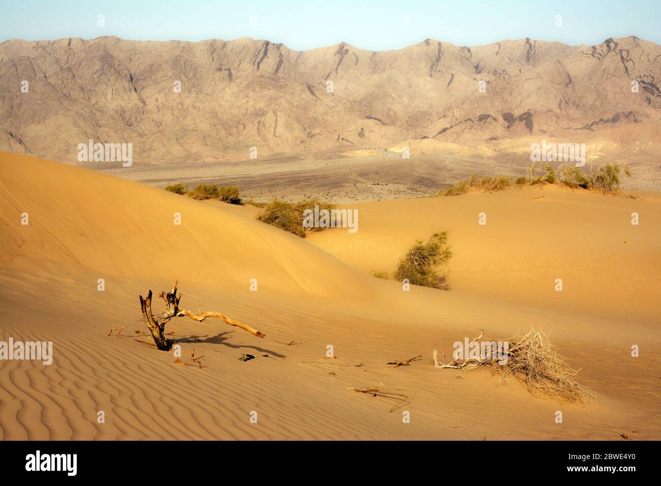 Sand dune in the south of Israel Stock Photo - Alamy