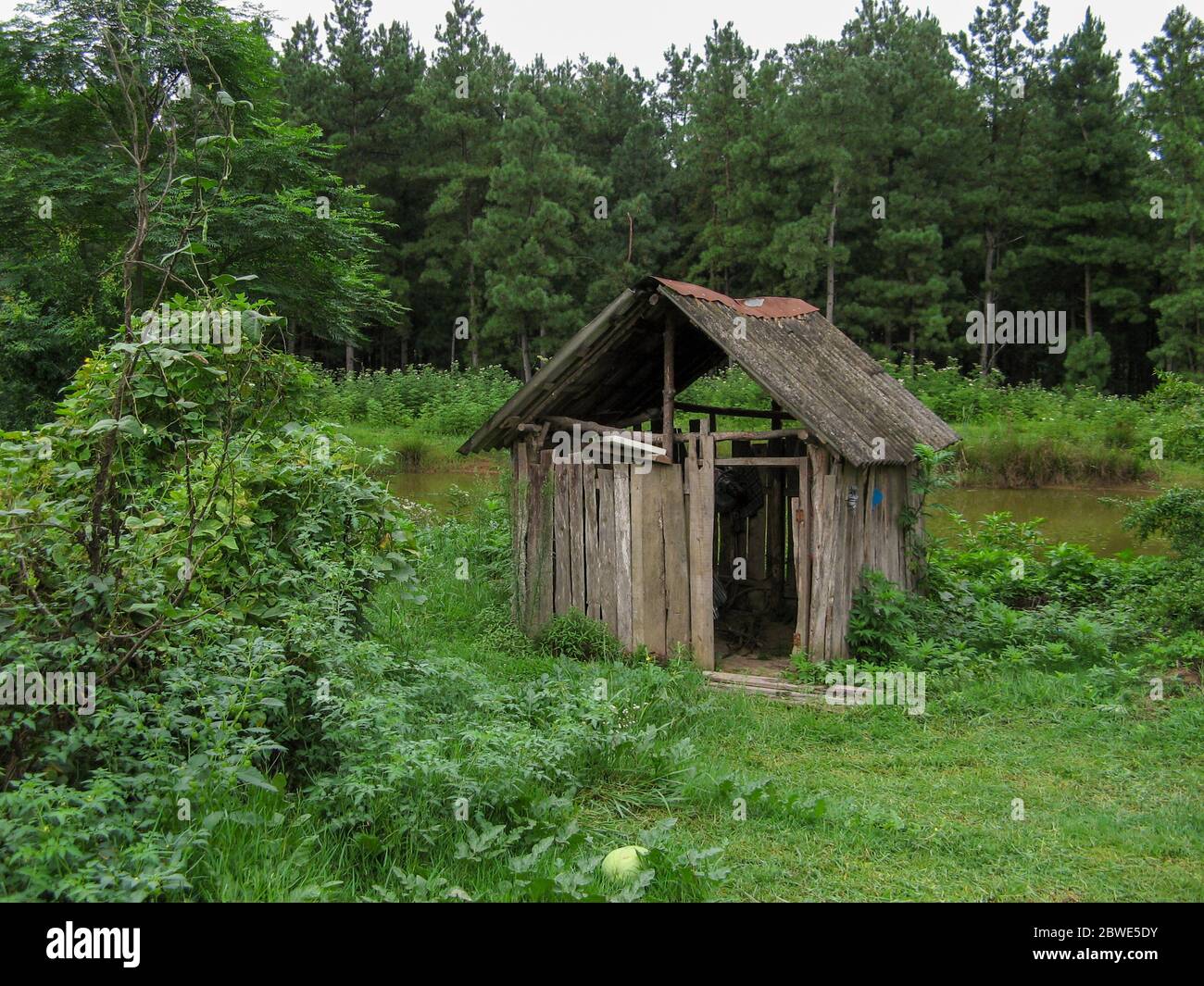 Old wooden hut near the lake in the forest. Wooden cabin standing among ...
