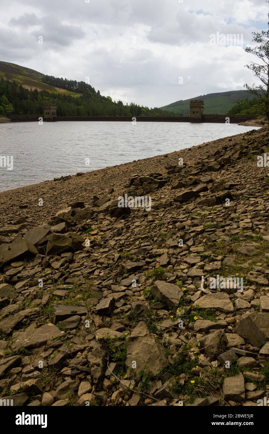 Derwent dam over Derwent reservoir with flowers in the foreground, in ...