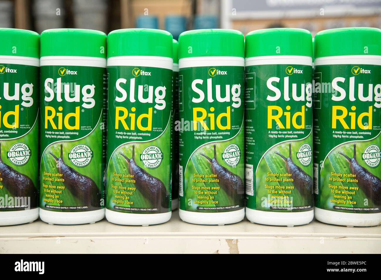 Killer slug hi-res stock photography and images - Alamy