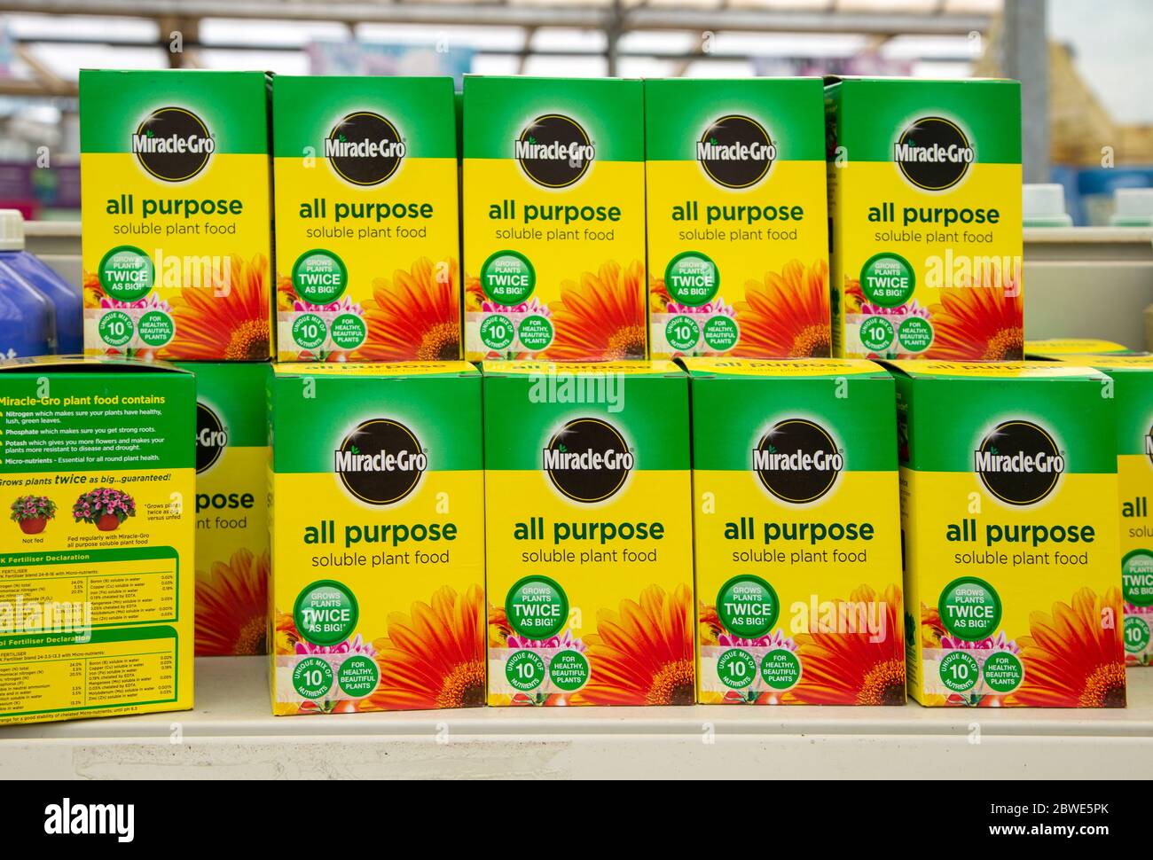 Cardboard boxes of Miracle-Grow all purpose soluble plant food on shelf ...