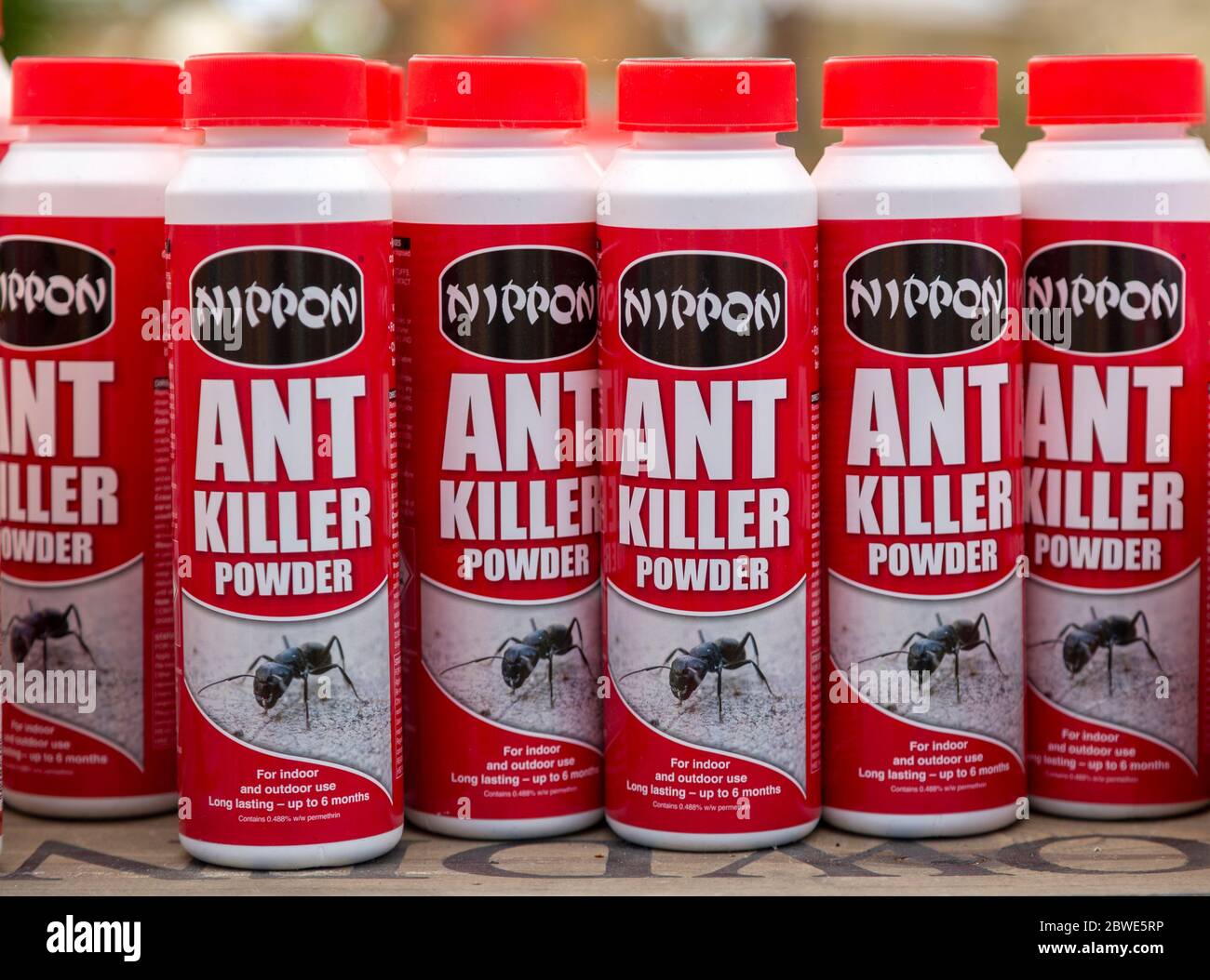 Plastic containers of Nippon brand ant killer powder on shelf display ...