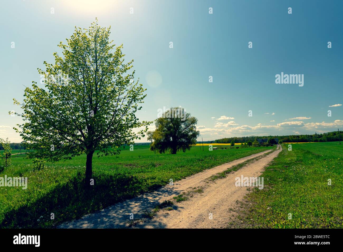 Road goes in spring hi-res stock photography and images - Alamy