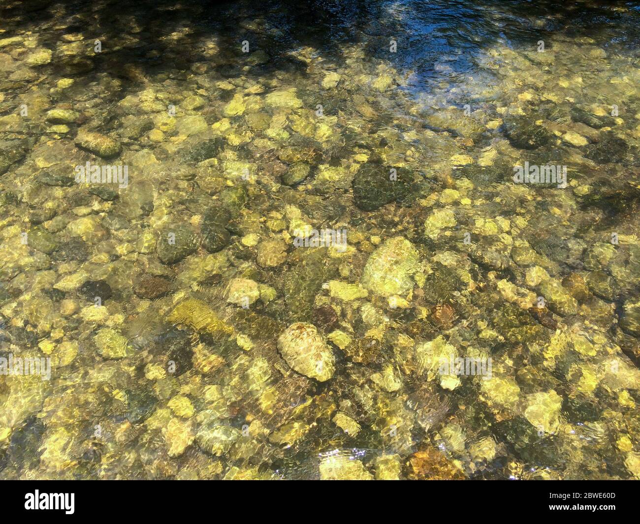 Clear river and rock under sunlight. River stones in the clear river ...