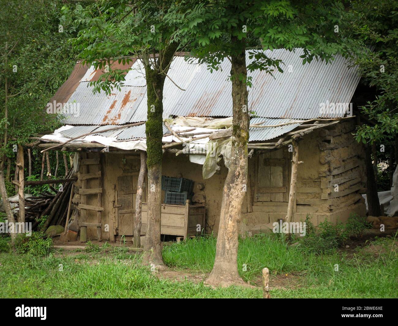Old mud hut with gable roof in forest. Mud hut with zinc iron roof in ...