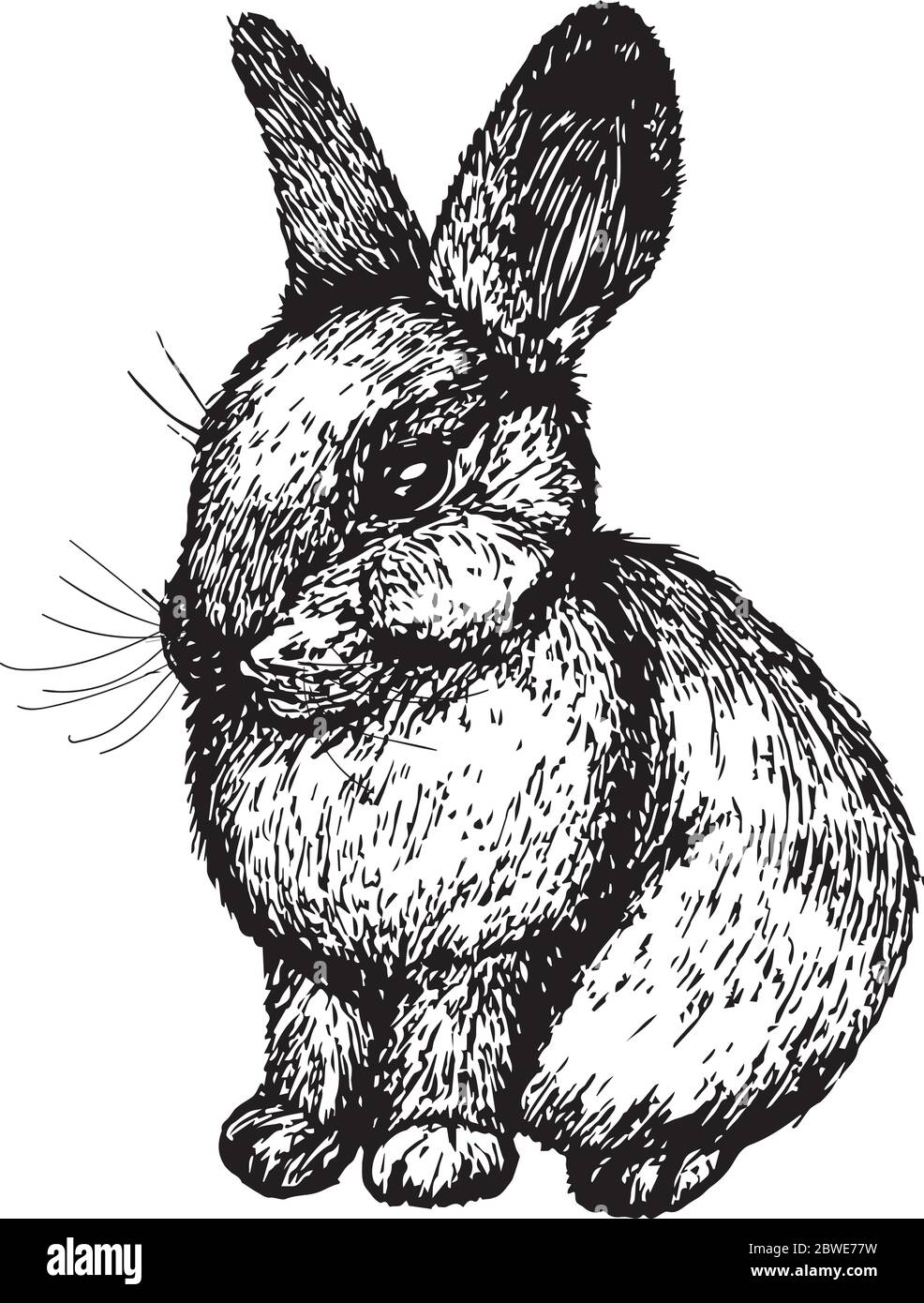 easter bunny contour black vector illustration Stock Vector Image & Art ...