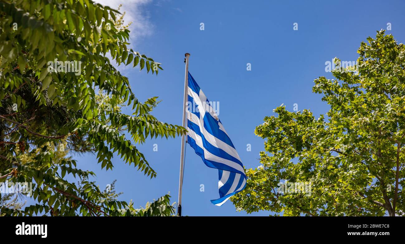 Greece sign symbol. Greek flag on flagpole and green tree foliage ...