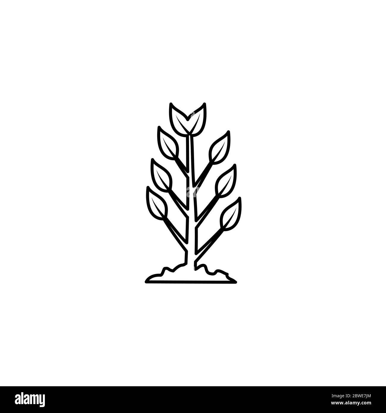 Plant Line Icon In Flat Style Vector For Apps, UI, Websites. Black Icon ...