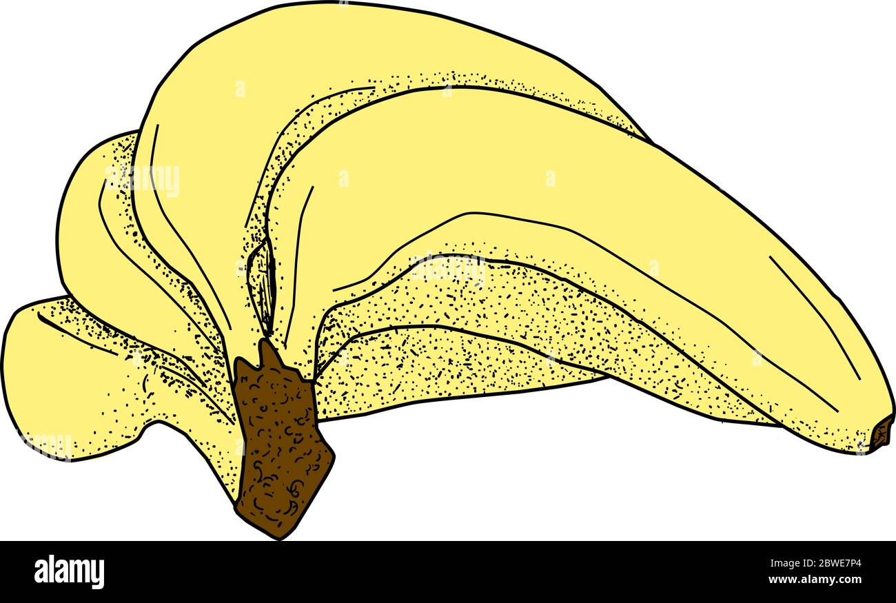 four bananas lying vector illustration Stock Vector Image & Art - Alamy