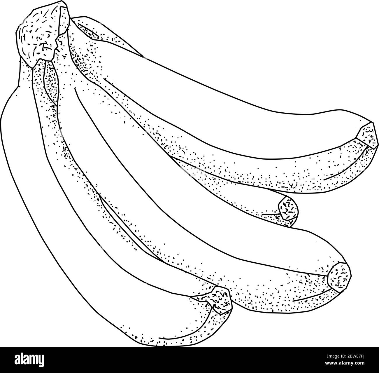 four banana drawing black and white vector illustration Stock Vector ...