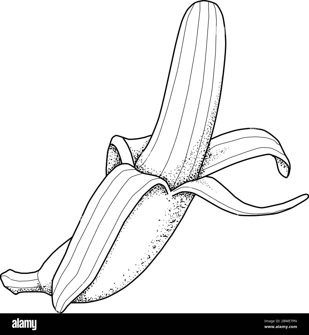 open banana sketch black lines vector illustration Stock Vector Image ...