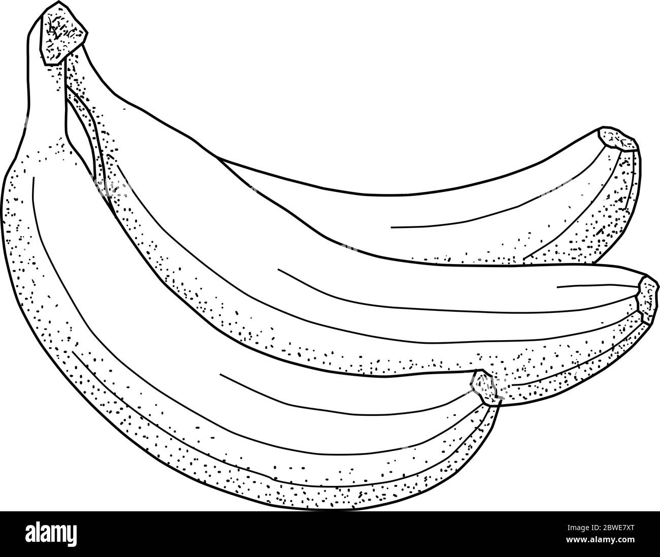 three banana sketches vector illustration Stock Vector Image & Art - Alamy