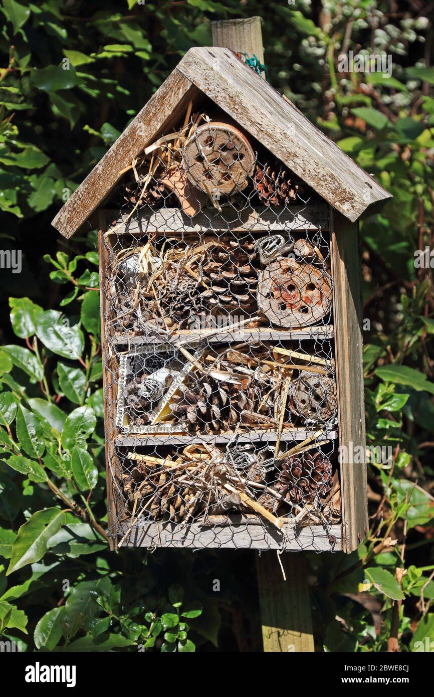 Hotel for insects hi-res stock photography and images - Alamy