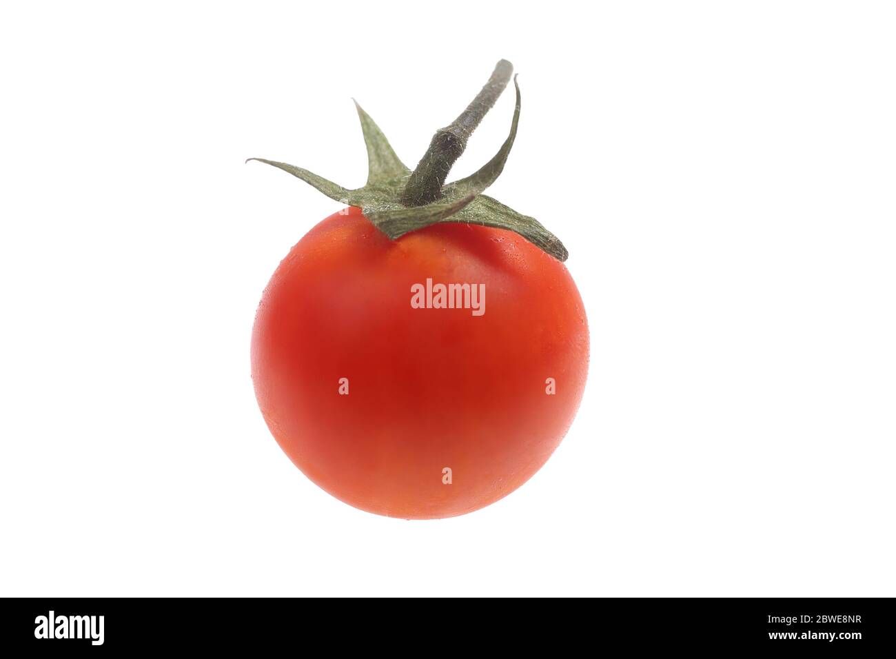 a round red tomato on a white background Stock Photo - Alamy