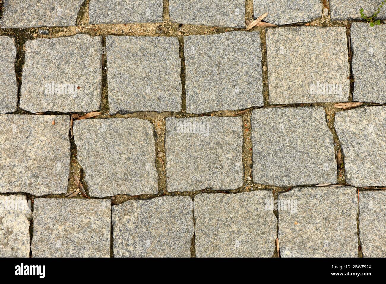 Paving slabs seamless texture hi-res stock photography and images - Alamy
