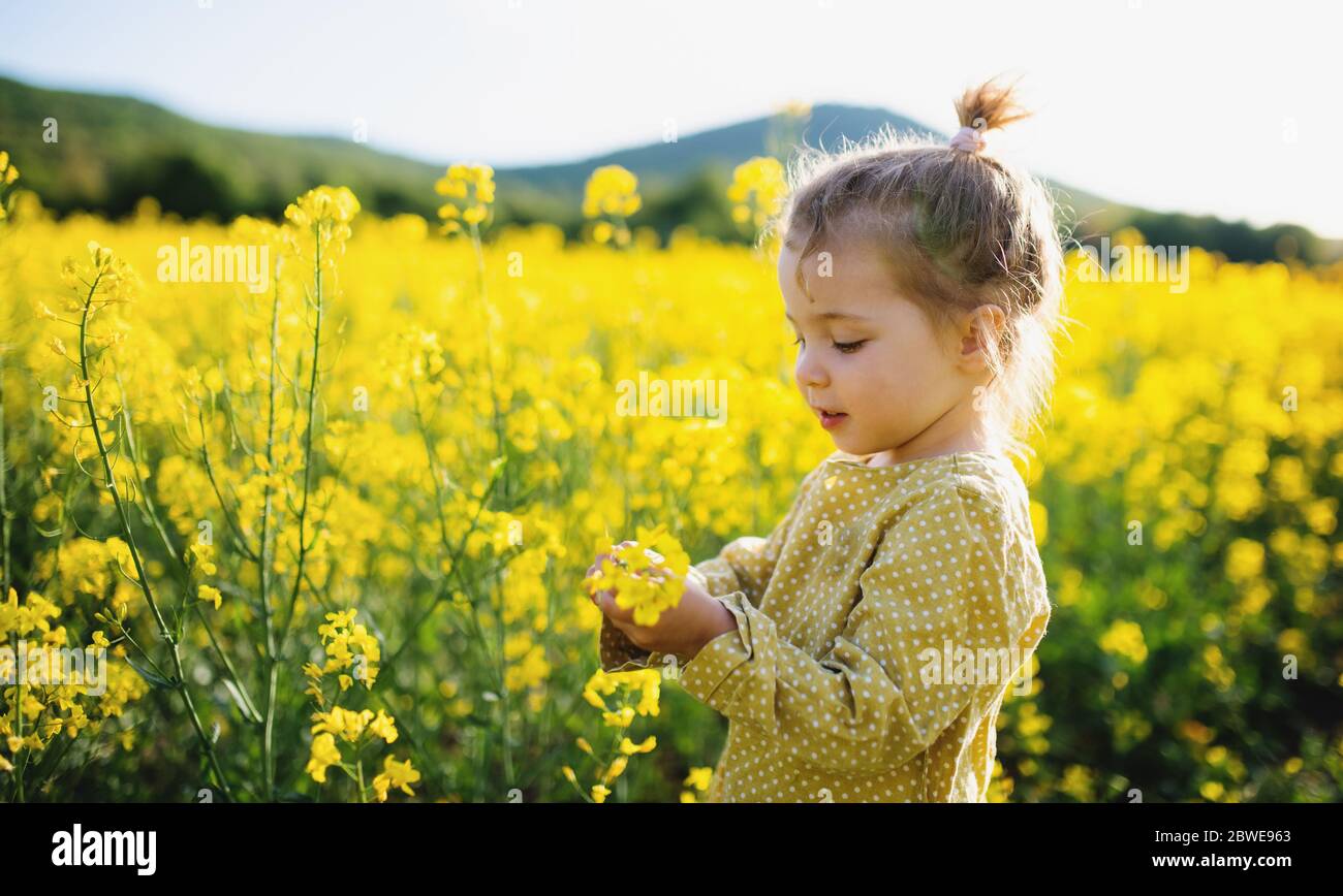 Toddler walk side view hi-res stock photography and images - Alamy