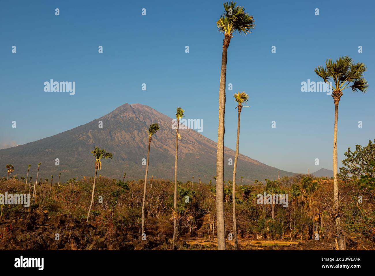 View on Agung vulcano, Bali, Indonesia Stock Photo - Alamy