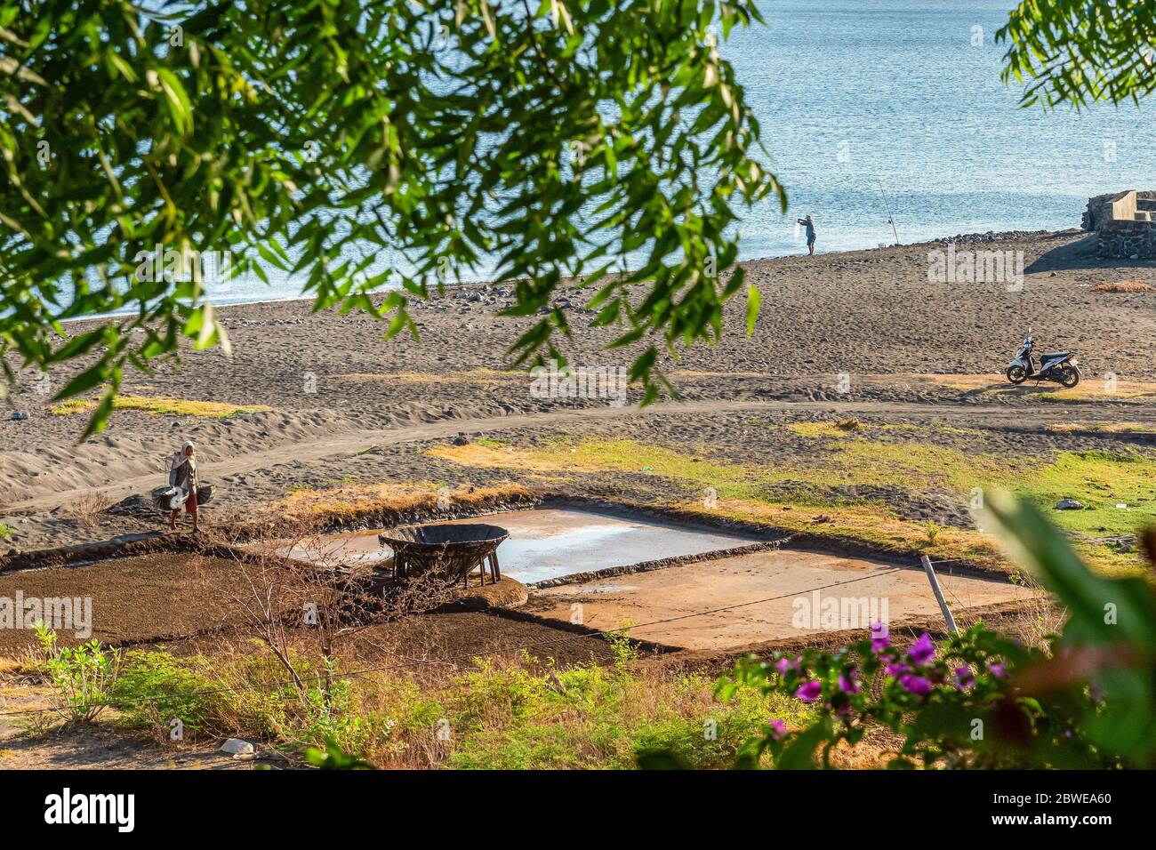 producing sea salt in Bali, process. Salt making process Stock Photo ...