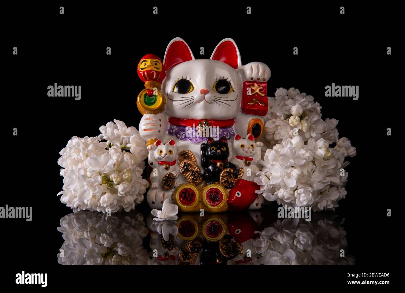 Japanese symbol of good luck maneki neko cat framed by white lilac ...