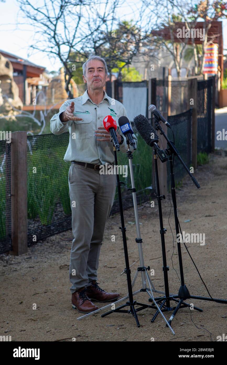 TARONGA ZOO - CAMERON KERR OFFICIAL RE OPENU=ING Stock Photo - Alamy