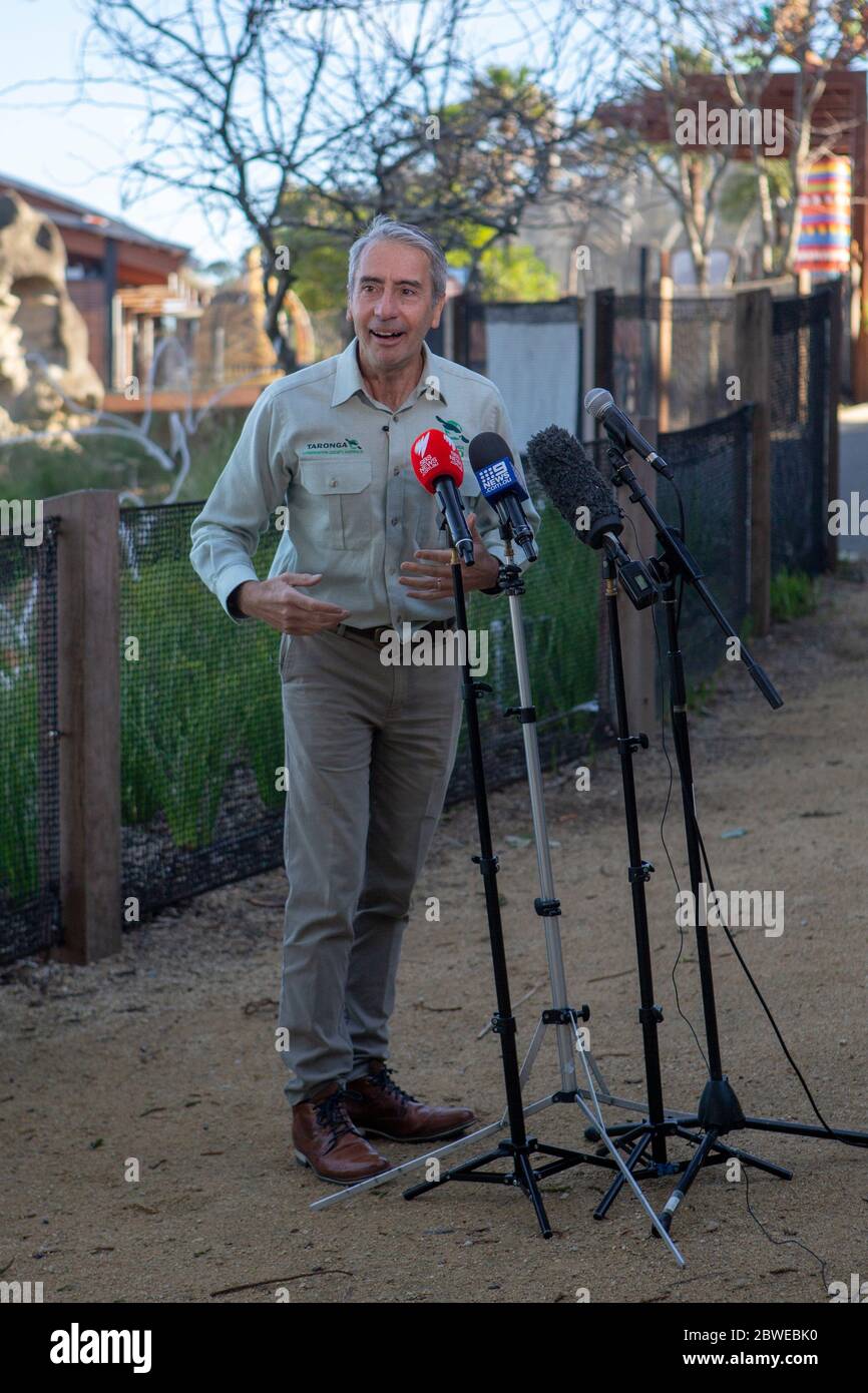 TARONGA ZOO - CAMERON KERR OFFICIAL RE OPENU=ING Stock Photo - Alamy