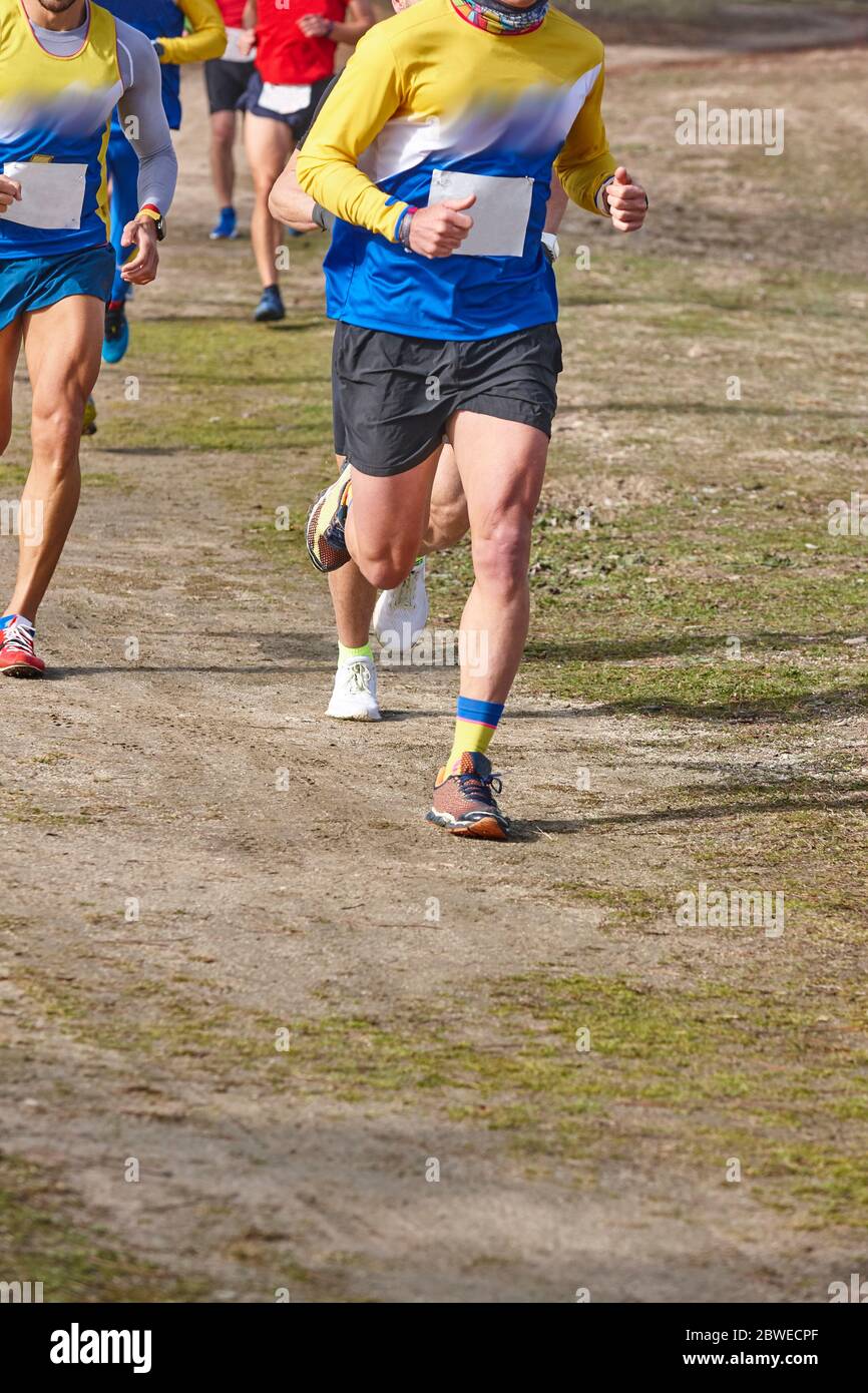 Cross country runners on a race. Active healthy outdoor lifestyle Stock ...