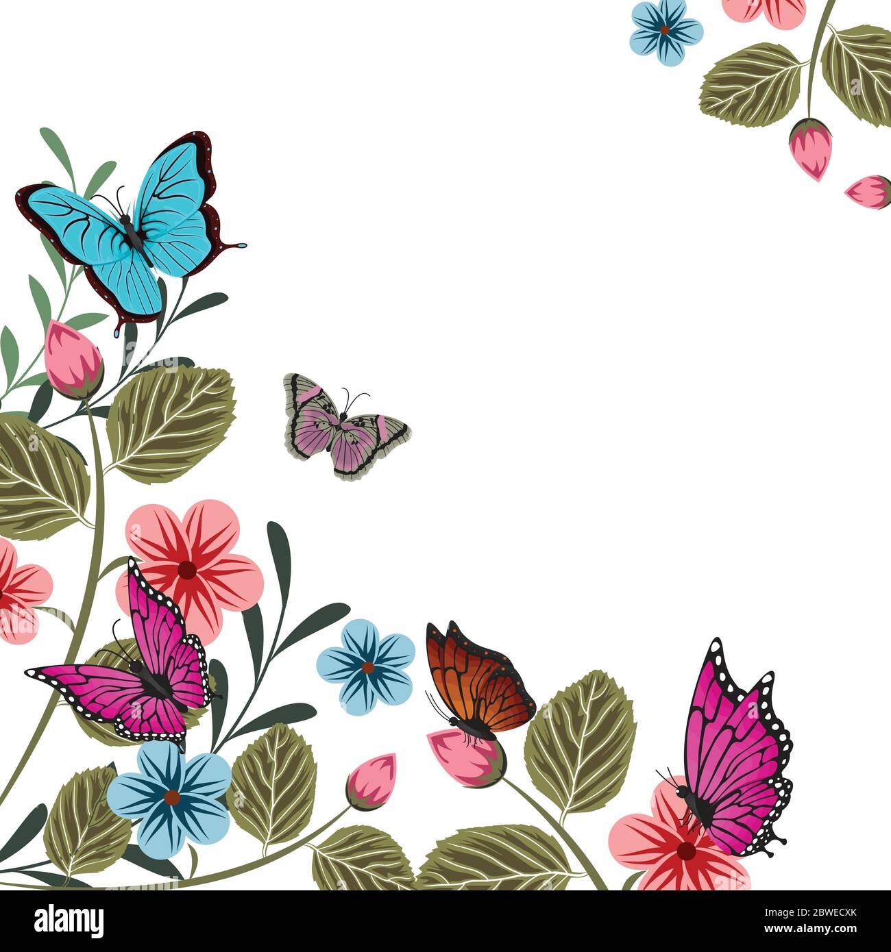 Garden flower for butterflies Stock Vector Images - Alamy
