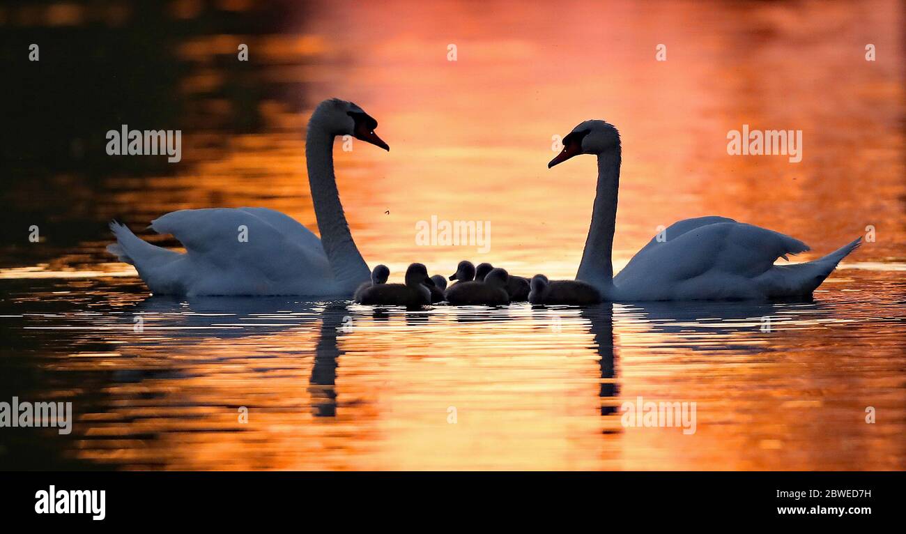 Sun sets on grand canal hi-res stock photography and images - Alamy