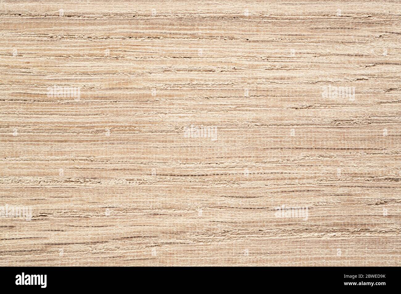 Oak wood texture. Plywood background. Natural beige color Stock Photo ...