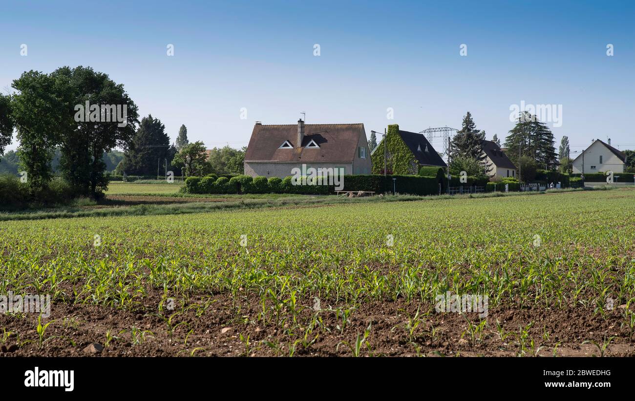 Fields and house in the French countryside Stock Photo - Alamy