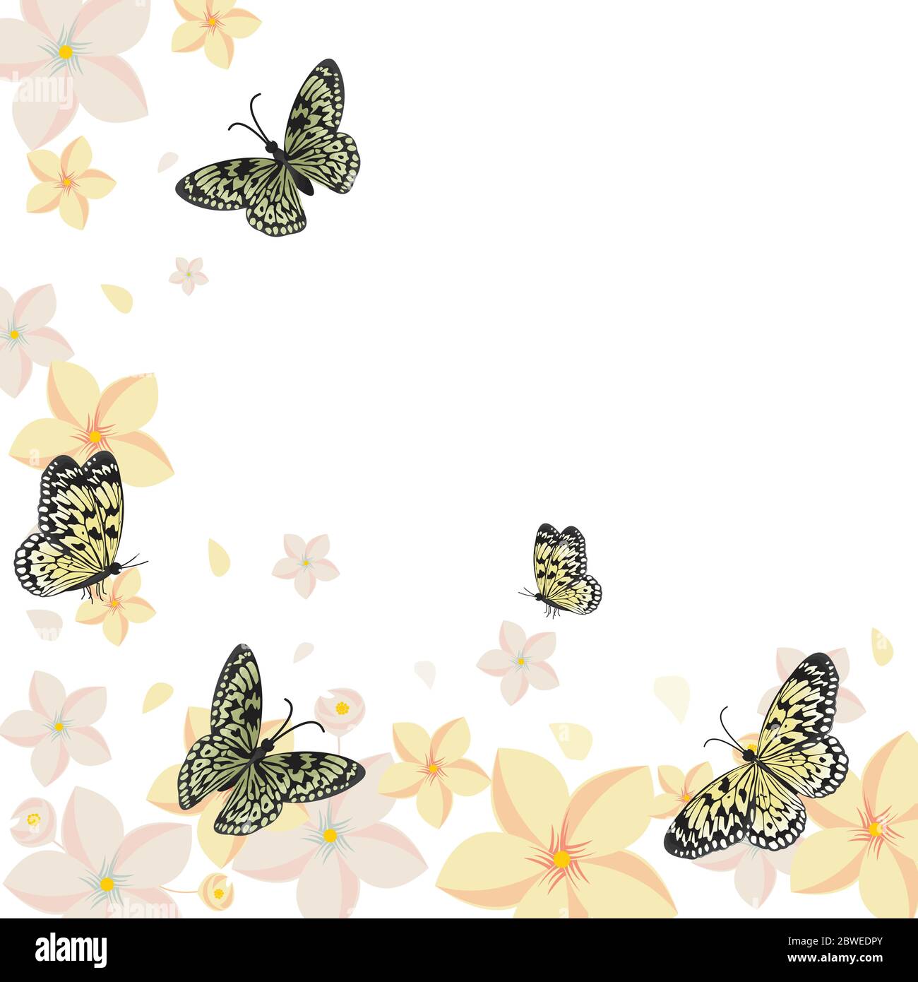 Summer watercolor frame with butterflies Stock Vector Images - Alamy