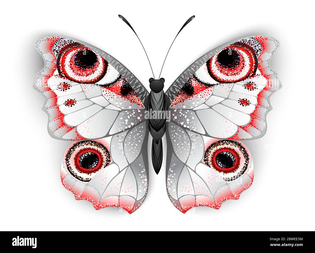 Peacock realistic drawing hi-res stock photography and images - Alamy