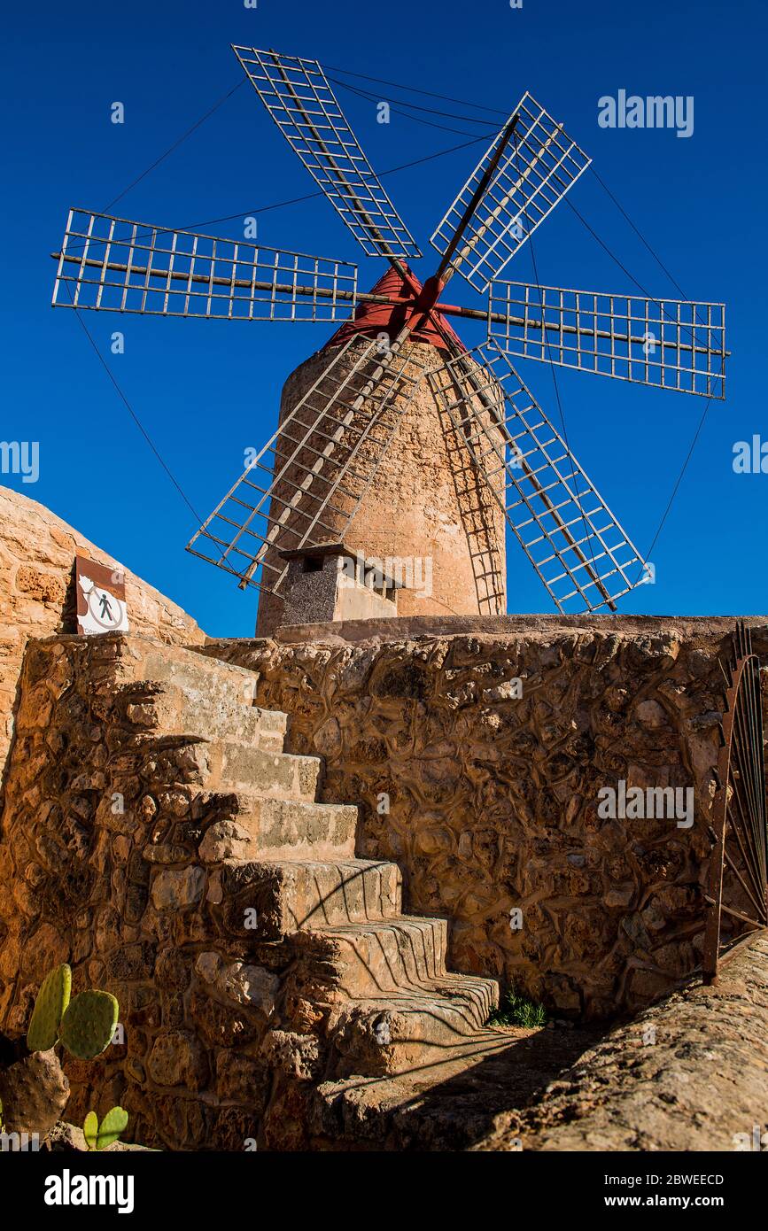 Old style flour windmill against a clear blue sky at Agaida in Mallorca ...