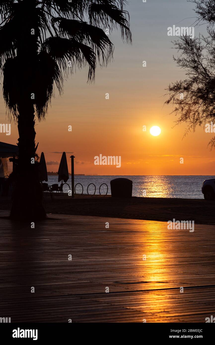 Sun rising above the sea. View from promenade with palms Stock Photo ...