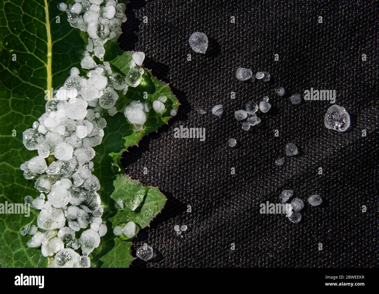 Small hail stones hi-res stock photography and images - Alamy