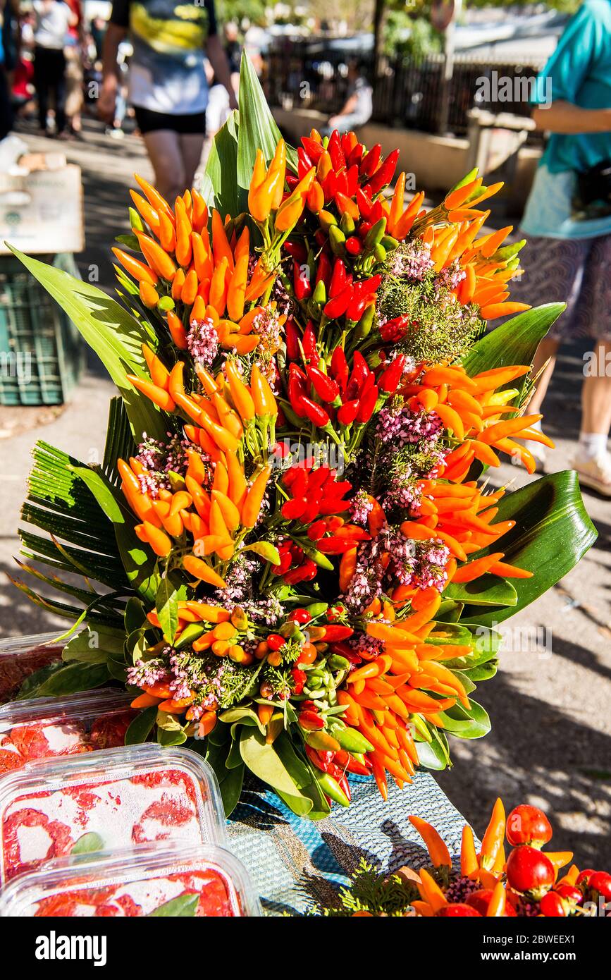Yellow chilli pepper spain hi-res stock photography and images - Alamy