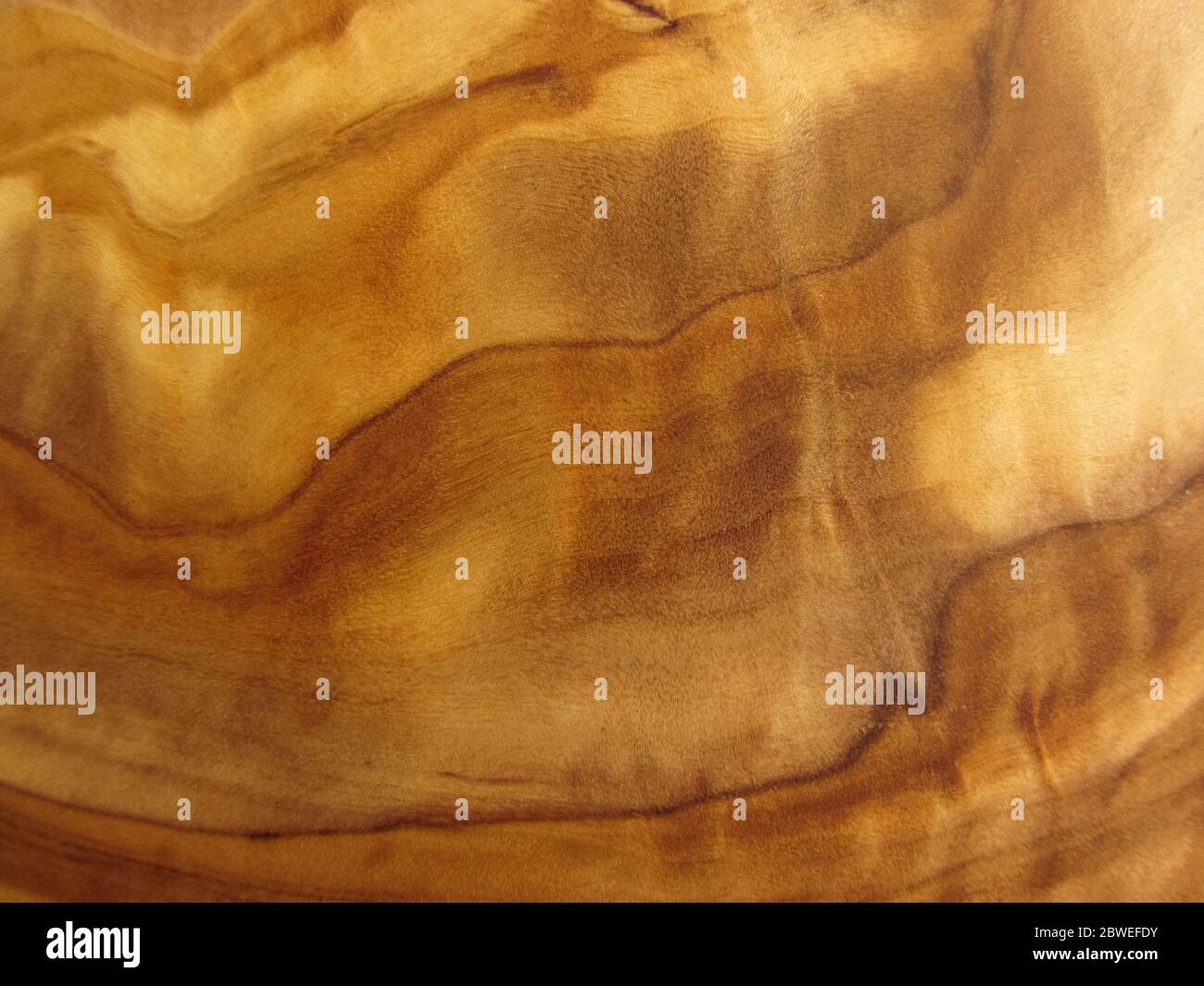 texture from an olive wood Stock Photo - Alamy