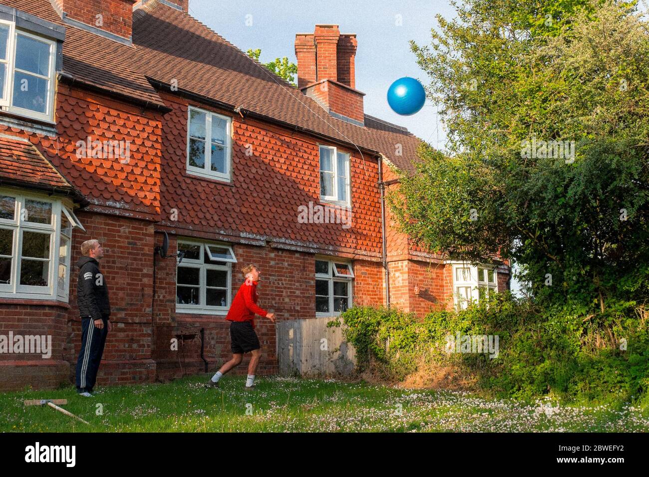 Two Young Men Throw A Ball In A Tree To Dislodge Another Stuck Ball ...