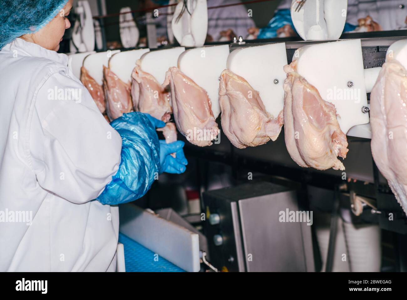 Food industry detail with poultry meat processing.Factory for the ...