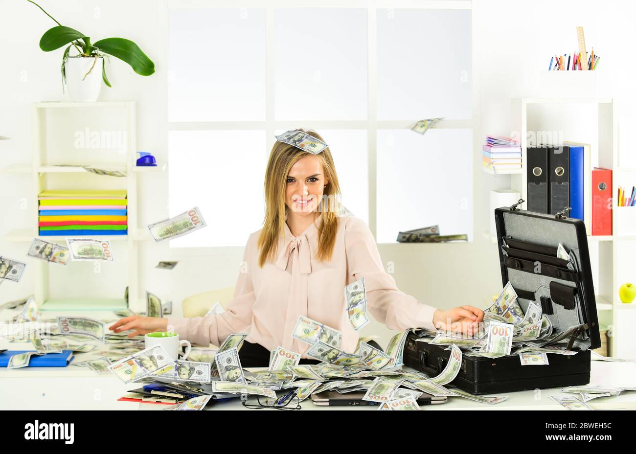 Financial expert. Finances is my passion. Girl with briefcase full of ...