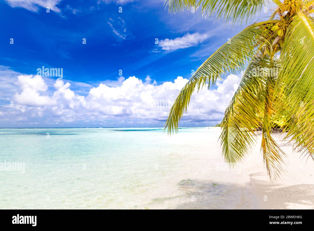 Tropical beach background as summer landscape with beach swing or ...