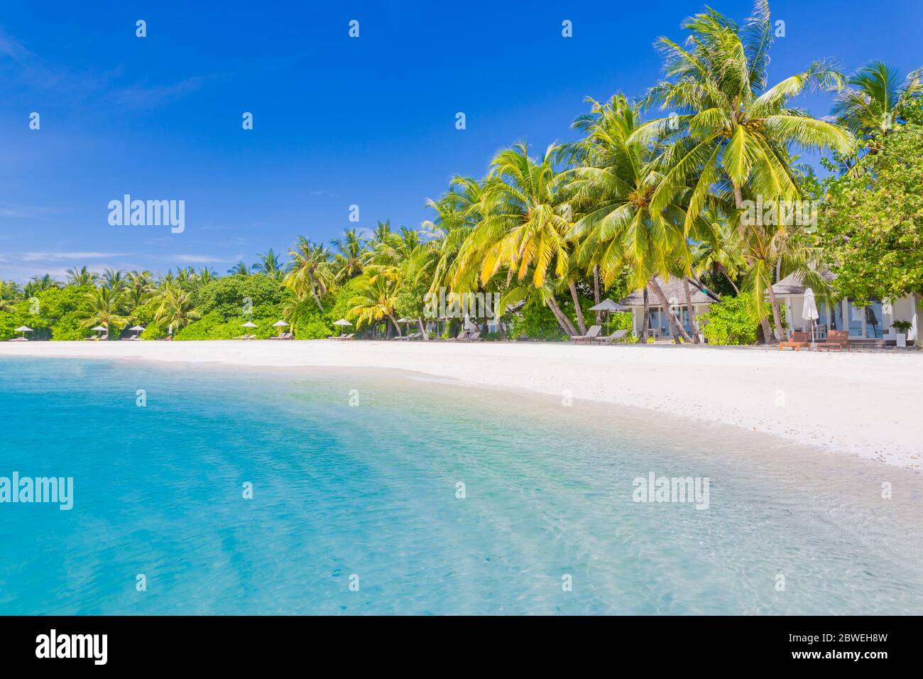 Maldives landscape. Tropical beach scene, blue sea and palm trees and ...