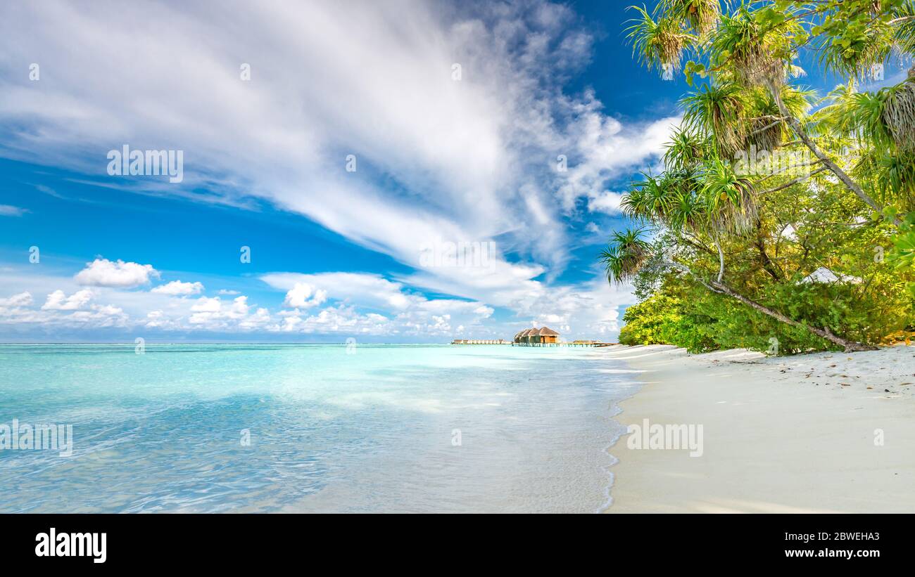 Maldives landscape. Tropical beach scene, blue sea and palm trees and ...