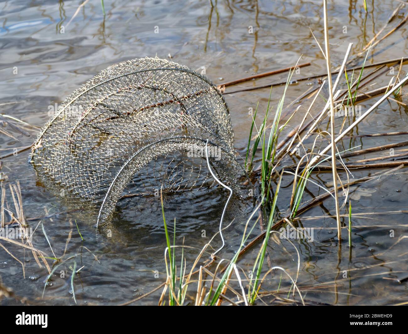 picture with fish net in the water, fishing as a leisure concept, water ...
