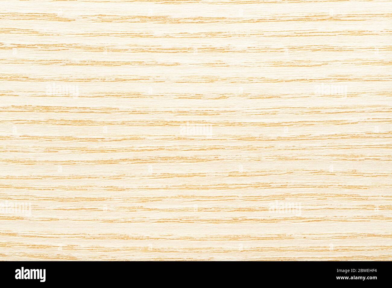 Pine wood texture. Plywood background striped. Natural beige color ...