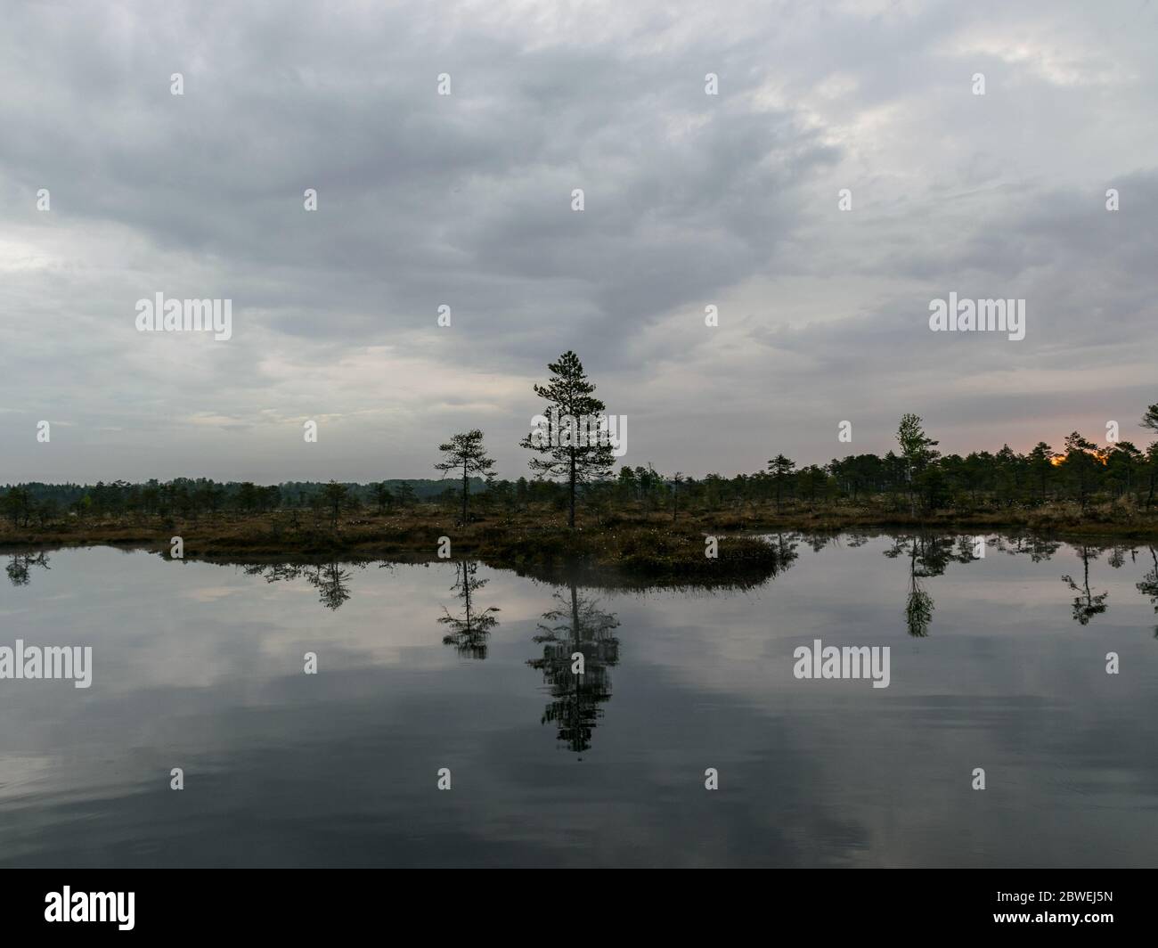 Old bogs hi-res stock photography and images - Alamy