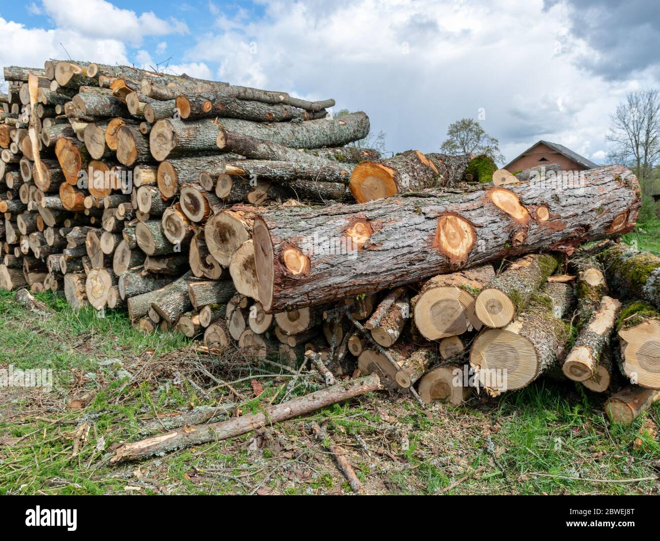picture with stack of sawn logs, wood pile reserve for the winter. Pile ...