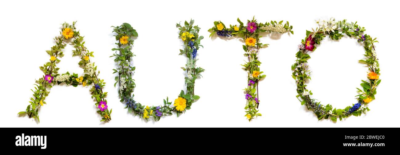 Flower And Blossom Letter Building Word Auto Means Car Stock Photo - Alamy